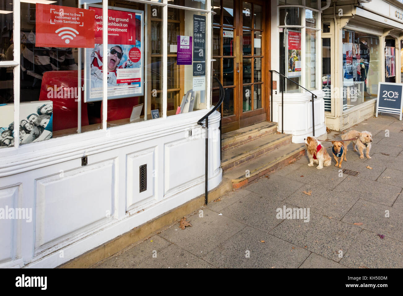 Are Dogs Allowed At Bank