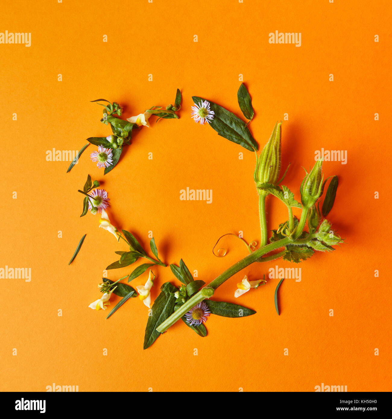 Abstract round floral composition flowers and leaves hi-res stock ...