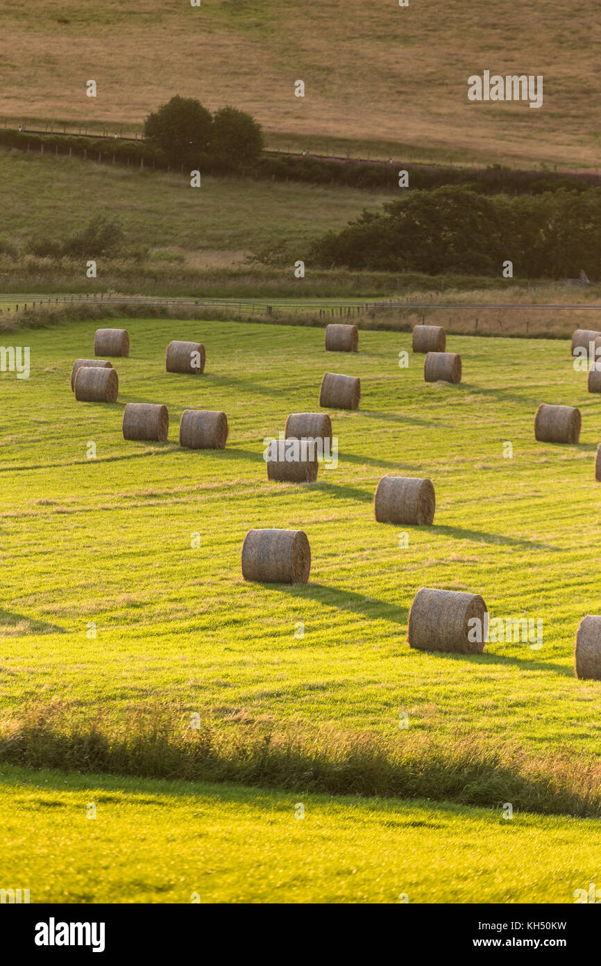 Hay boat hi-res stock photography and images - Alamy