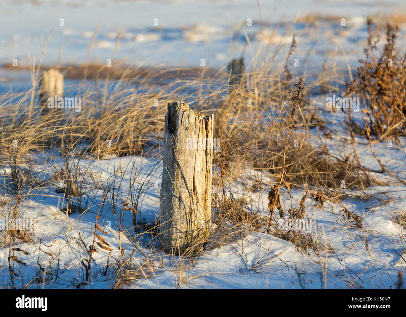 Old fence posts hi-res stock photography and images - Alamy