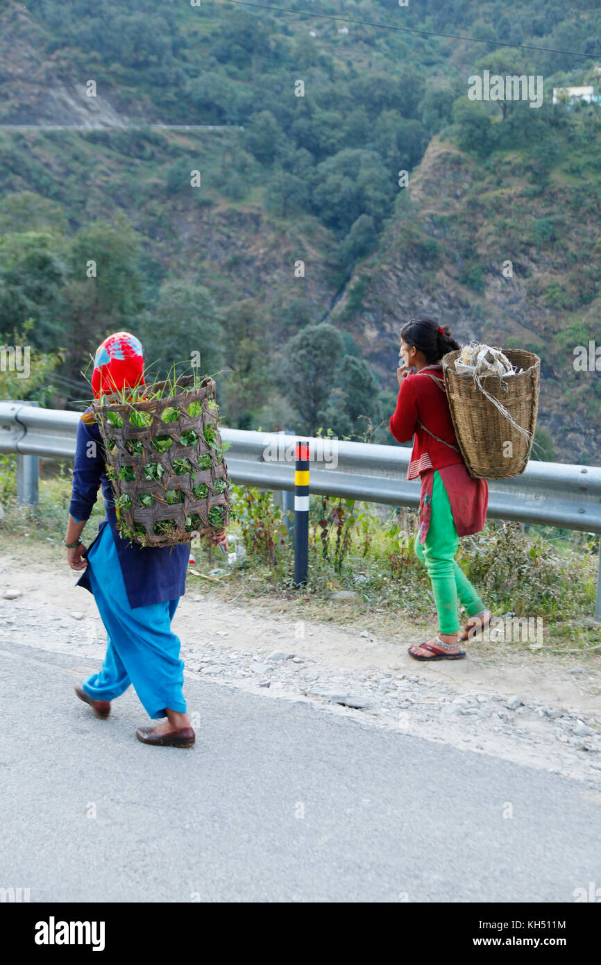 Uttarakhand, Himalayan Mountain Women Live And Work, Producing green ...