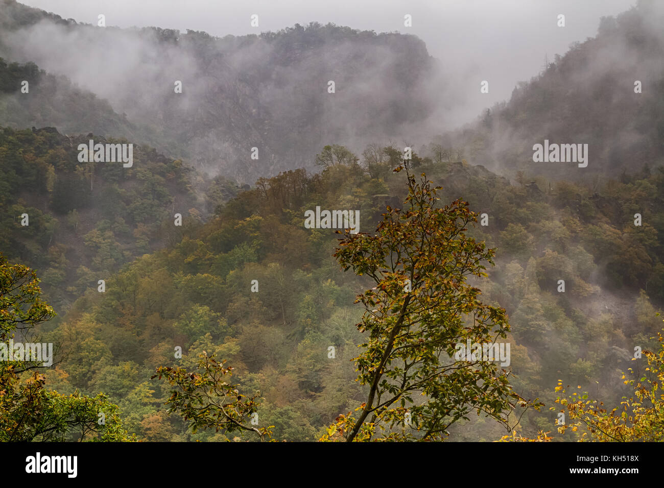 Blick in das Bodetal bei Nebel Stock Photo - Alamy