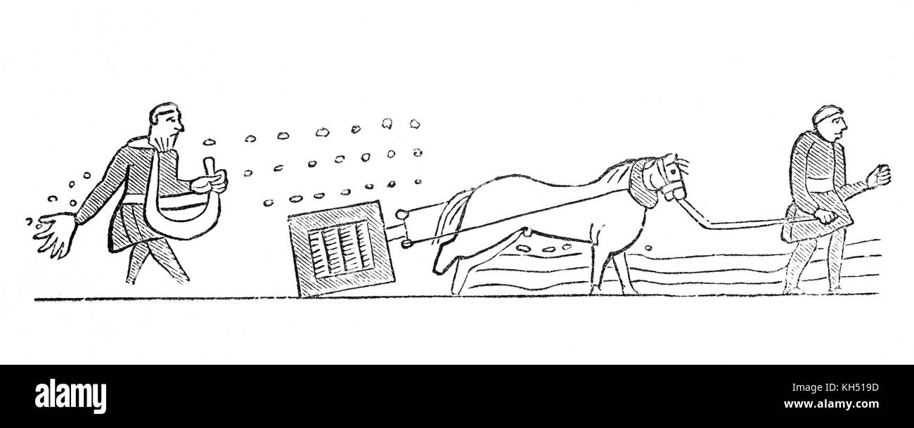 A cartoon of an Anglo Saxon famers harrowing and sowing seed in 8th ...