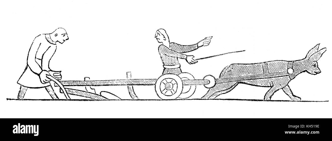 A cartoon of an Anglo Saxon wheel plough in 8th Century England.(from ...
