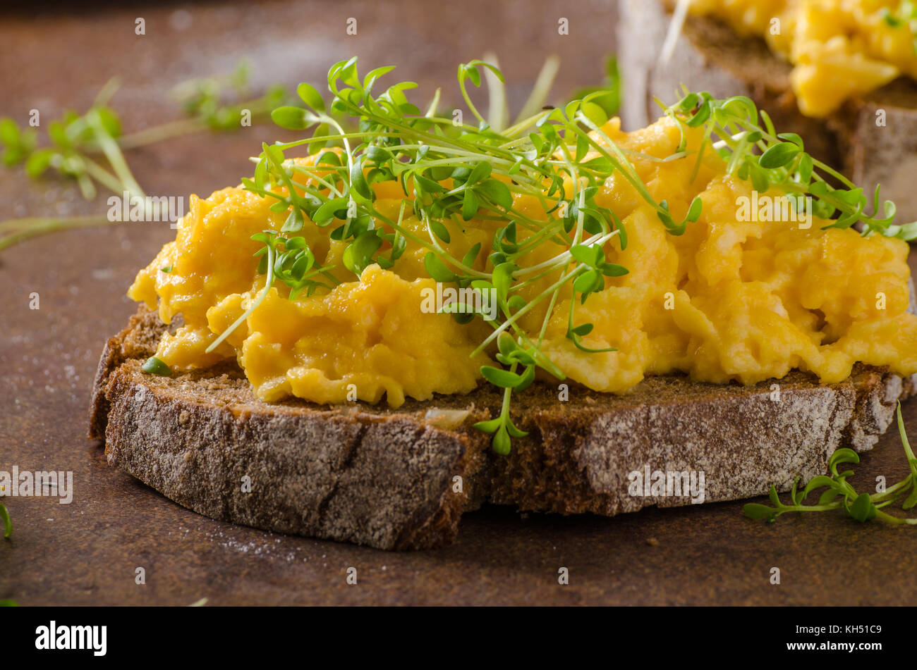 Scrambled eggs, wholegrain bread with fresh microgreens on top Stock ...