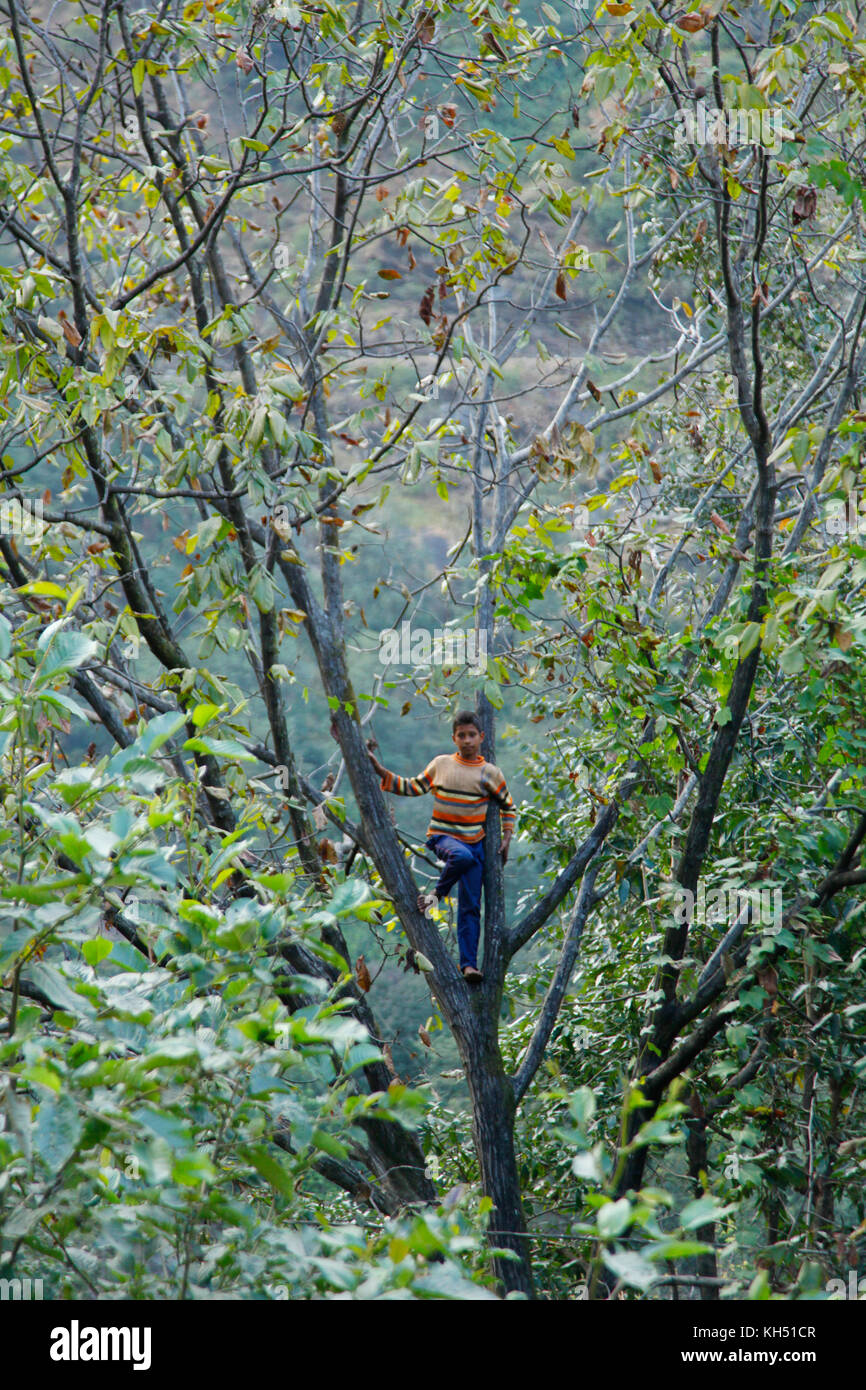 Life of himalayan people hi-res stock photography and images - Alamy