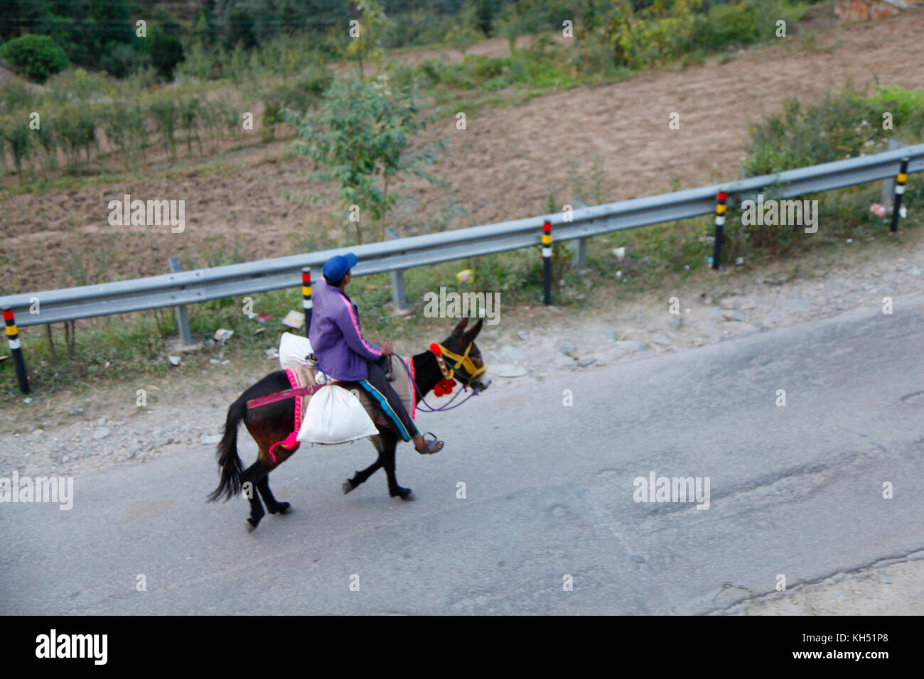 Horse Riding in Uttarakhand, Trek In Uttarakhand, Horse Riding For ...