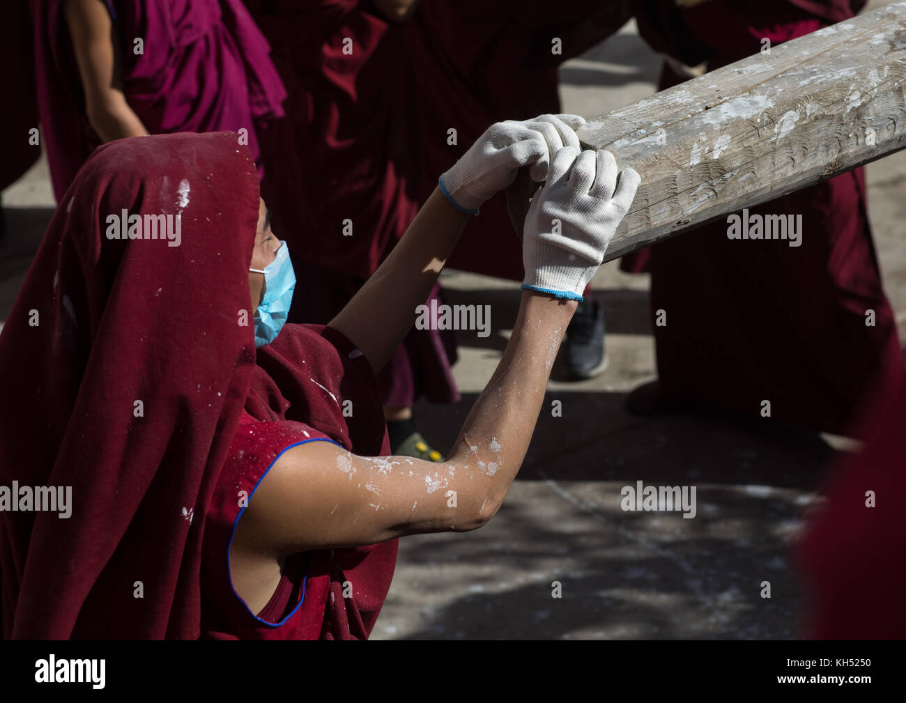 Monks preparaing the painting of a temple in Rongwo monastery, Tongren ...