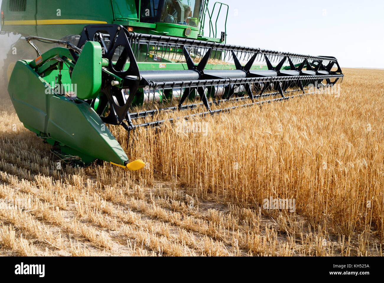 Kibbutz farmer hi-res stock photography and images - Alamy
