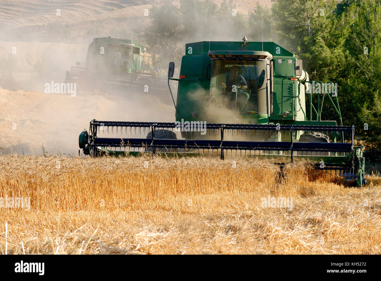 combine harvester harvesting wheat. Photographed in Israel, Kibbutz ...