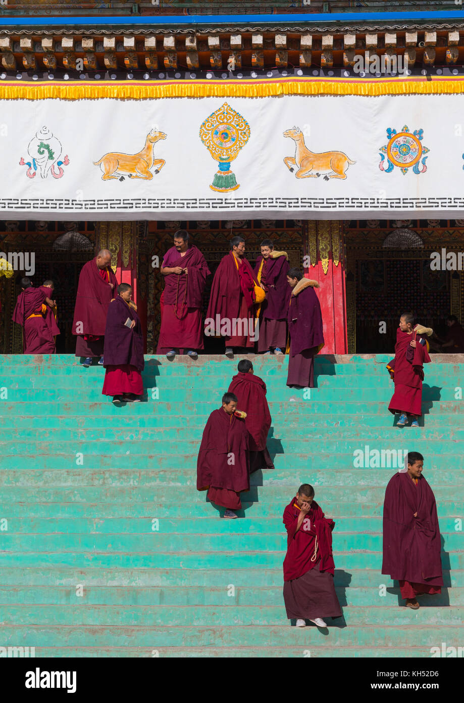 Tibetan monks of the gelug order or yellow hat sect on the stairs in ...