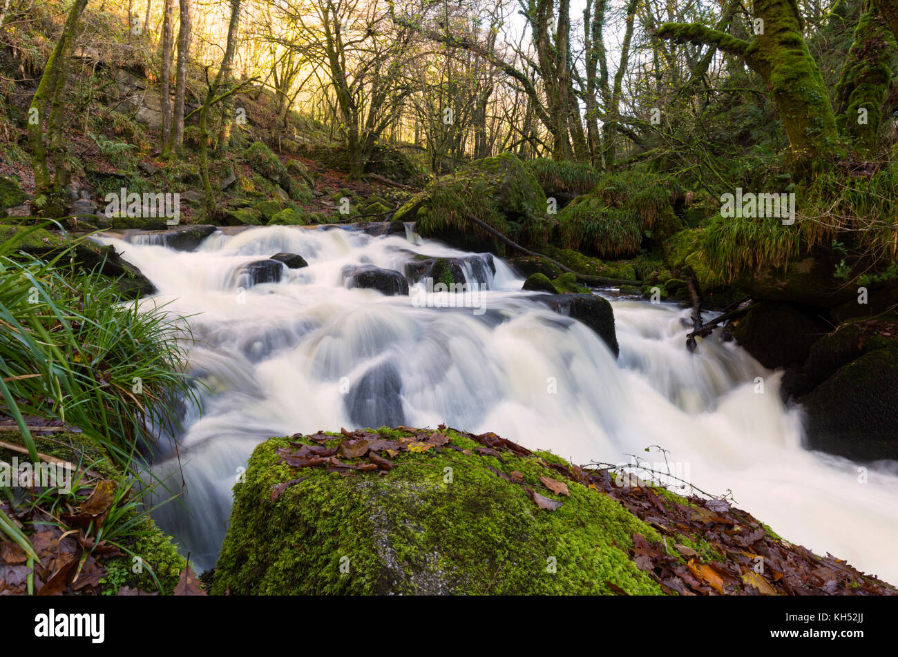 Golitha Falls in East Cornwall Stock Photo - Alamy