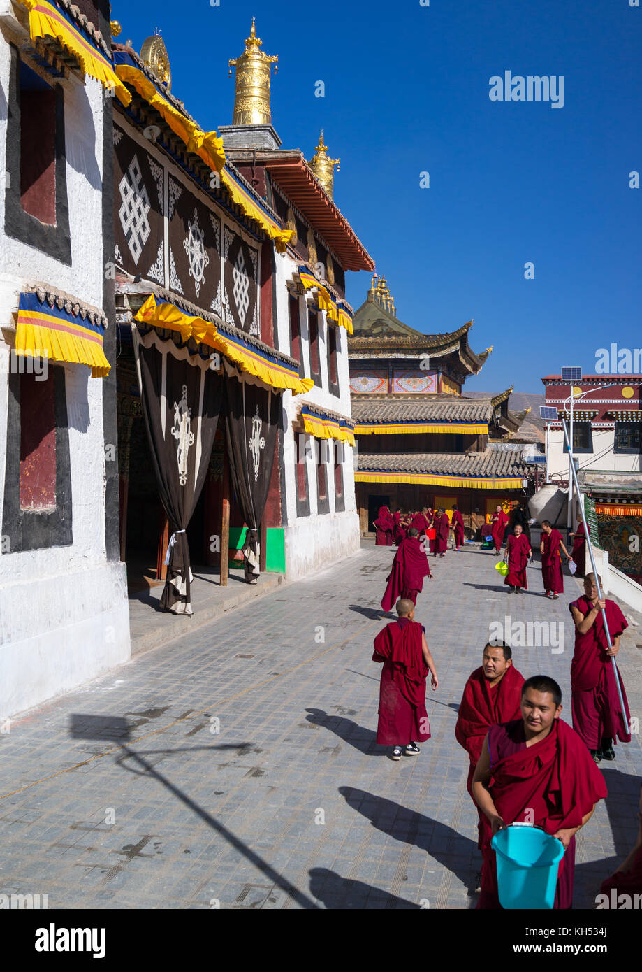 Monks carrying buckets for the painting of a temple in Rongwo monastery ...