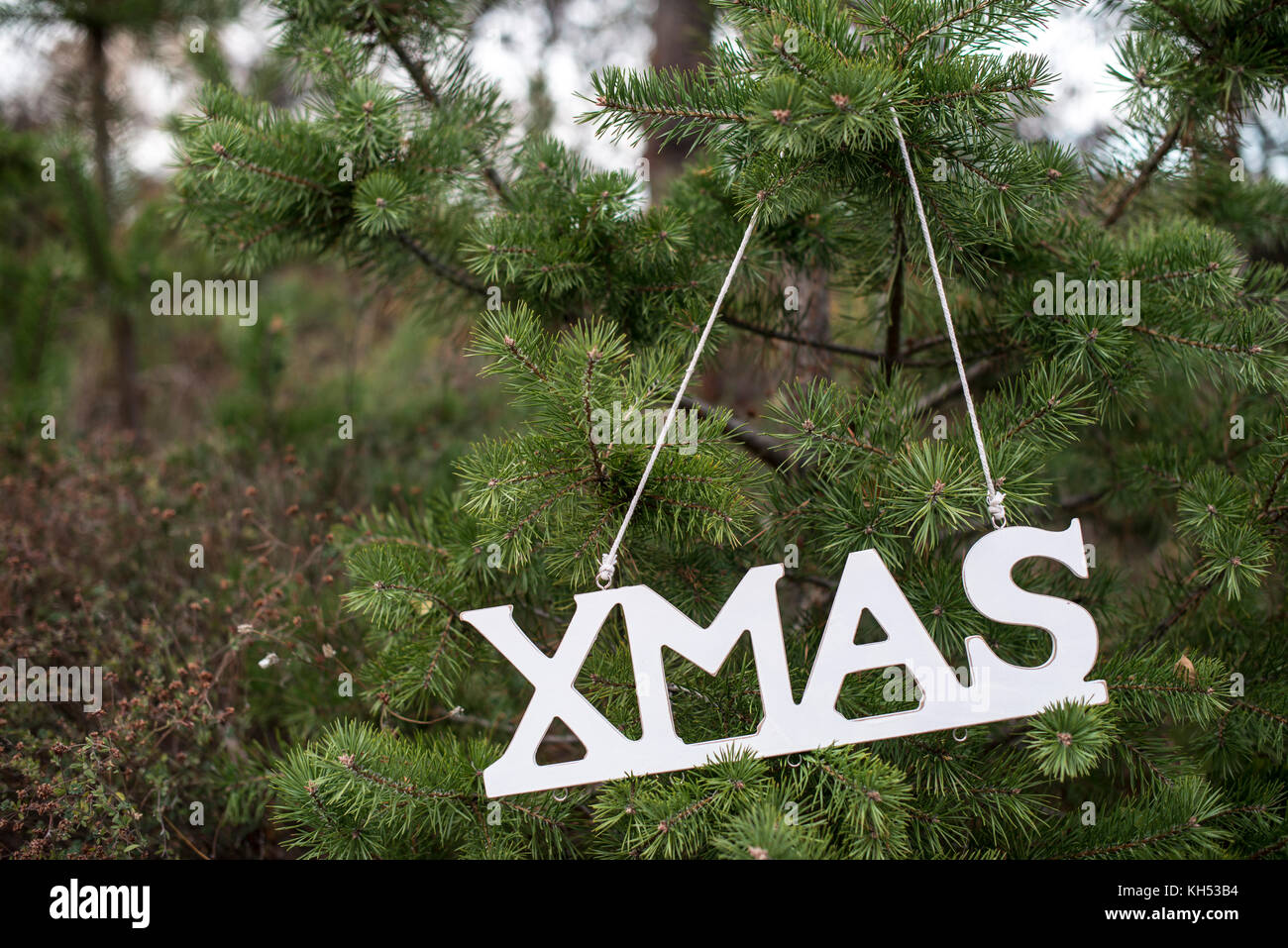 Word Xmas and fir trees Stock Photo - Alamy
