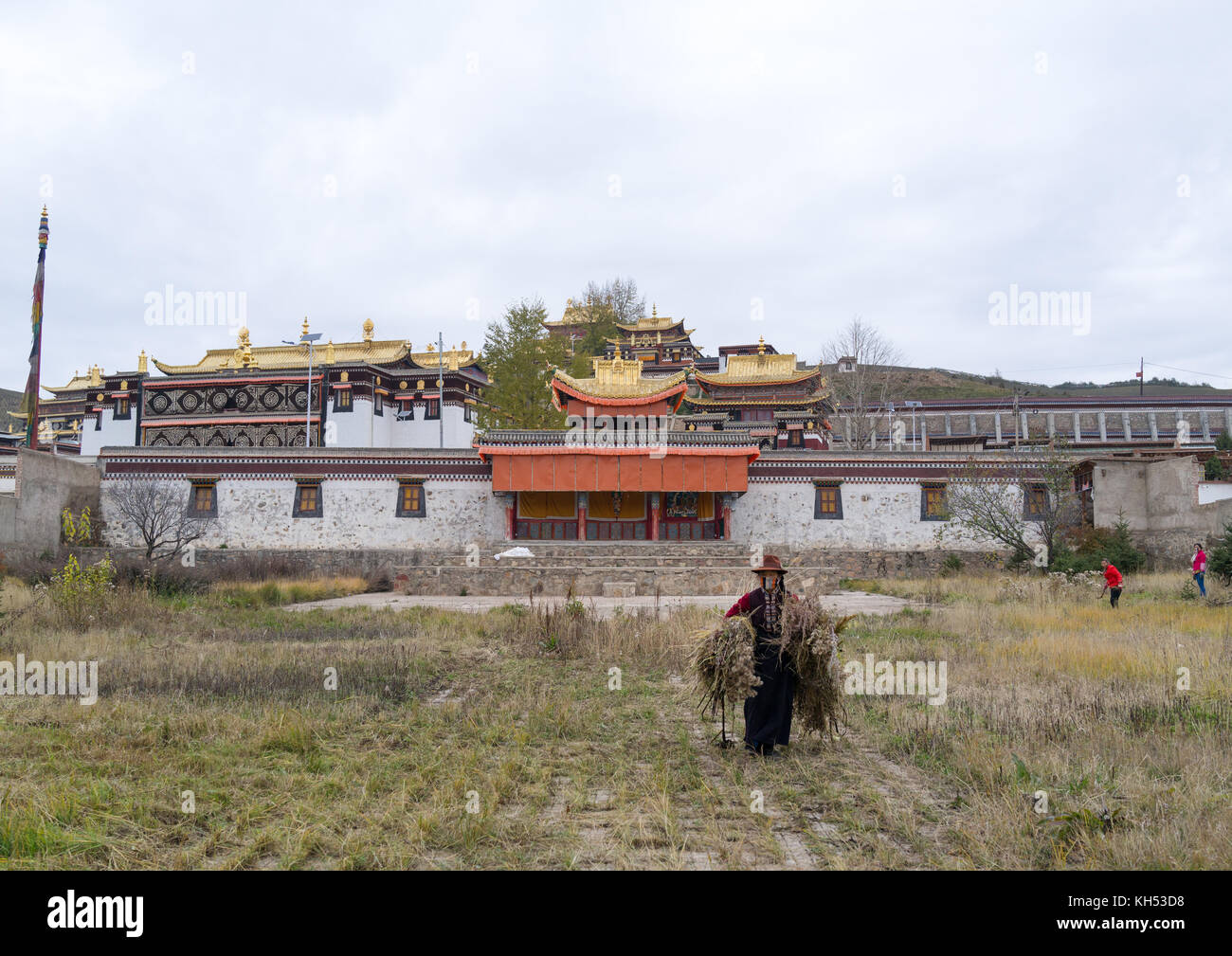 Tibetan people cleaning a field in Hezuo monastery, Gansu province ...