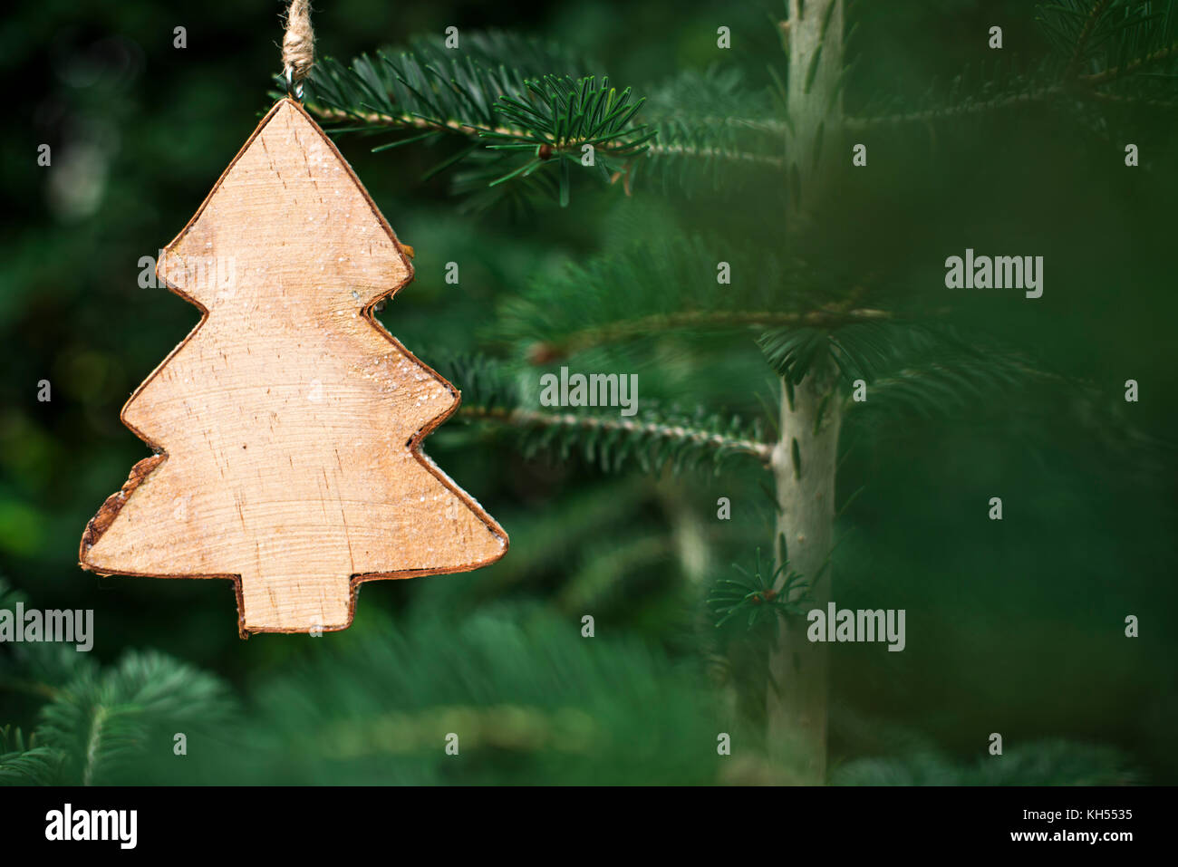 Fir shape hi-res stock photography and images - Alamy