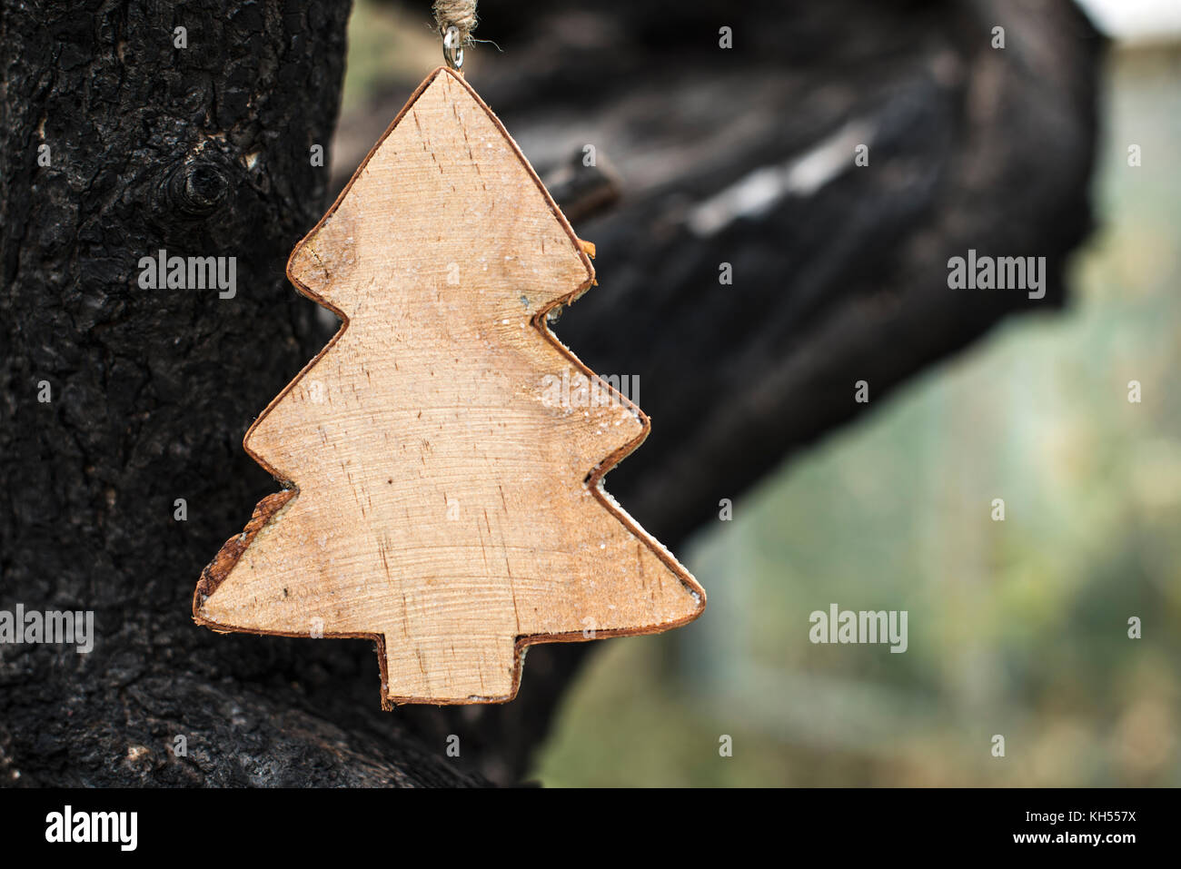 Fir shape hi-res stock photography and images - Alamy