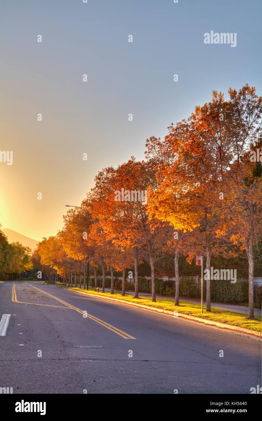Bright sunlight street hi-res stock photography and images - Alamy