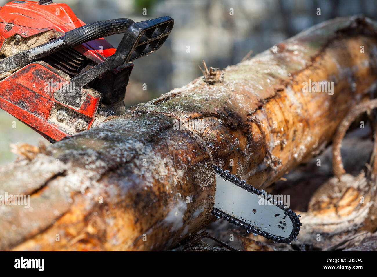 Husqvarna chainsaw hi-res stock photography and images - Alamy