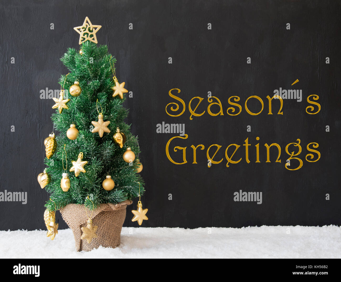 English Text Seasons Greetings. Golden Decorated Christmas Tree With ...