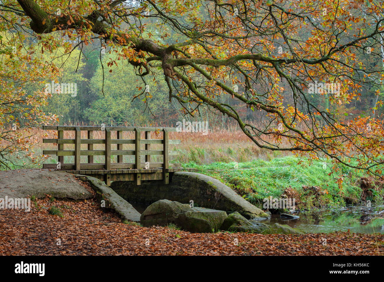 Gloucestershire wooden footbridge hi-res stock photography and images ...