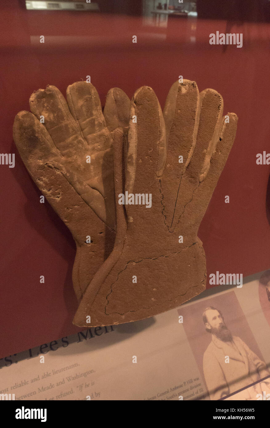 Riding gauntlets hi-res stock photography and images - Alamy