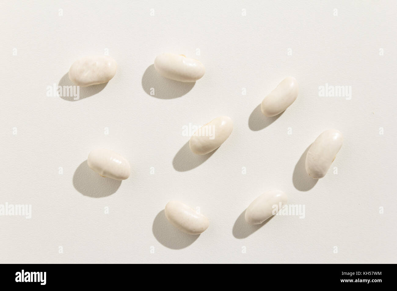 Phaseolus vulgaris is scientific name of Navy Bean legume. Also known ...