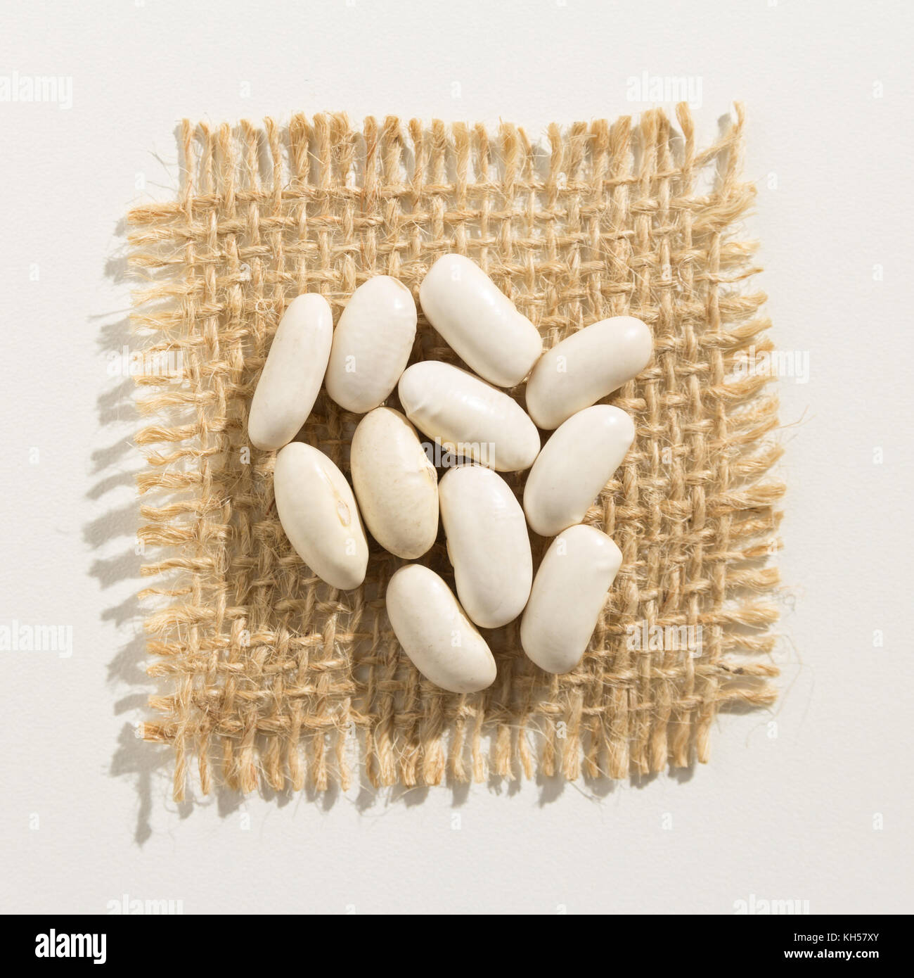 Phaseolus vulgaris is scientific name of Navy Bean legume. Also known ...