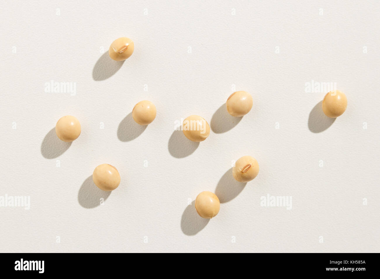 Glycine max is scientific name of Soybean legume. Also known as Soya ...