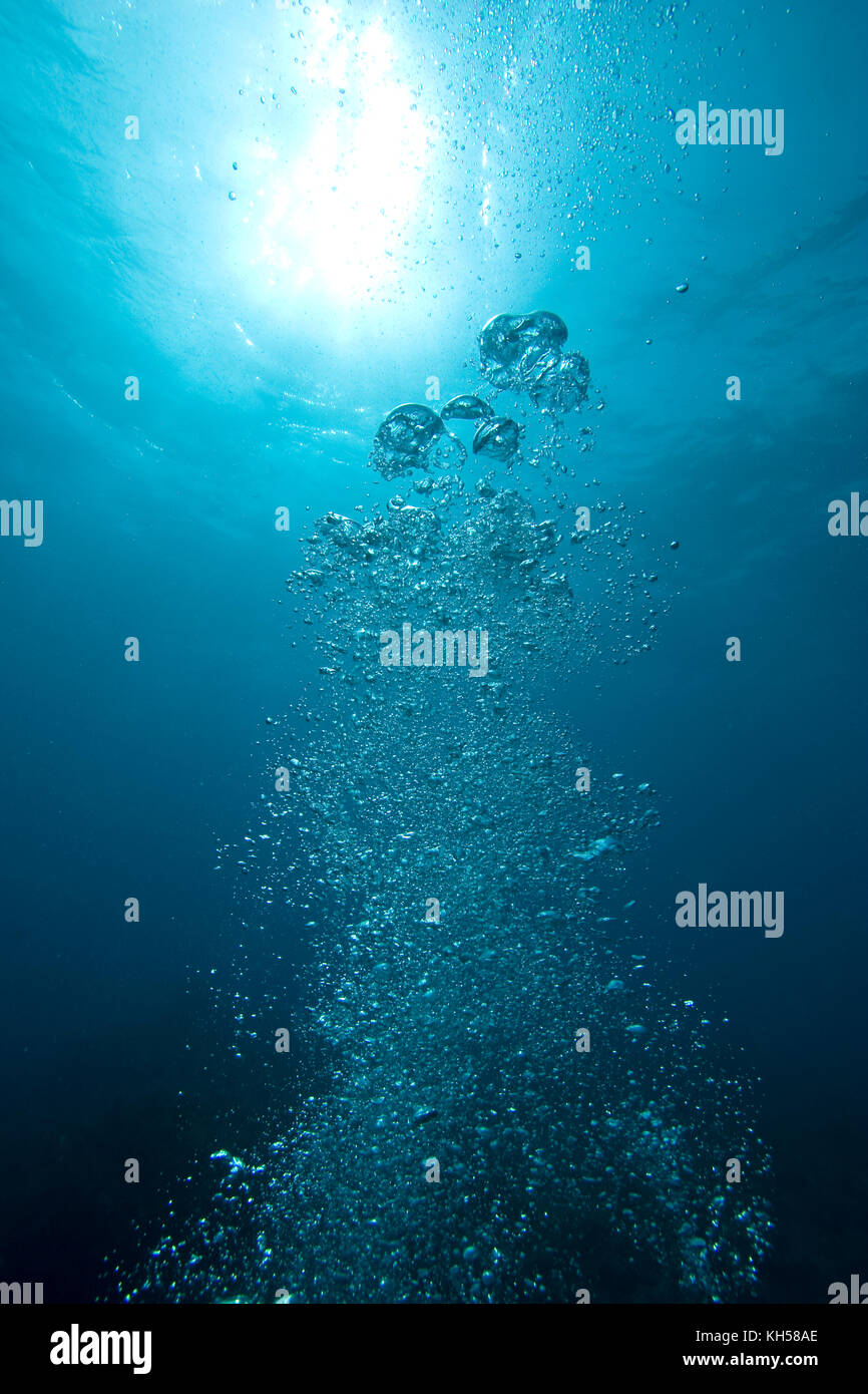 Ocean air bubble hi-res stock photography and images - Alamy