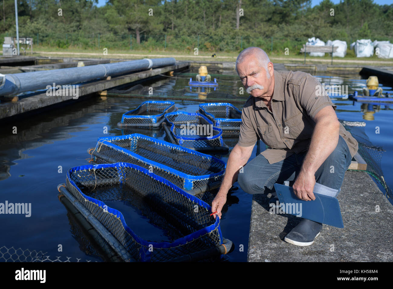 man posing in the fish farm Stock Photo - Alamy