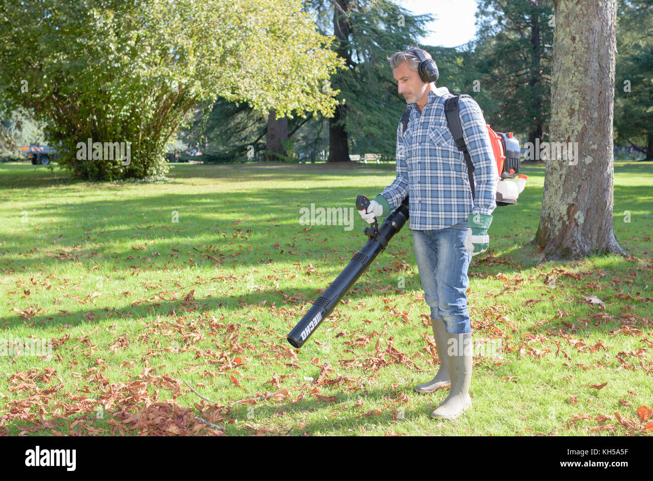 collecting the leaves Stock Photo - Alamy