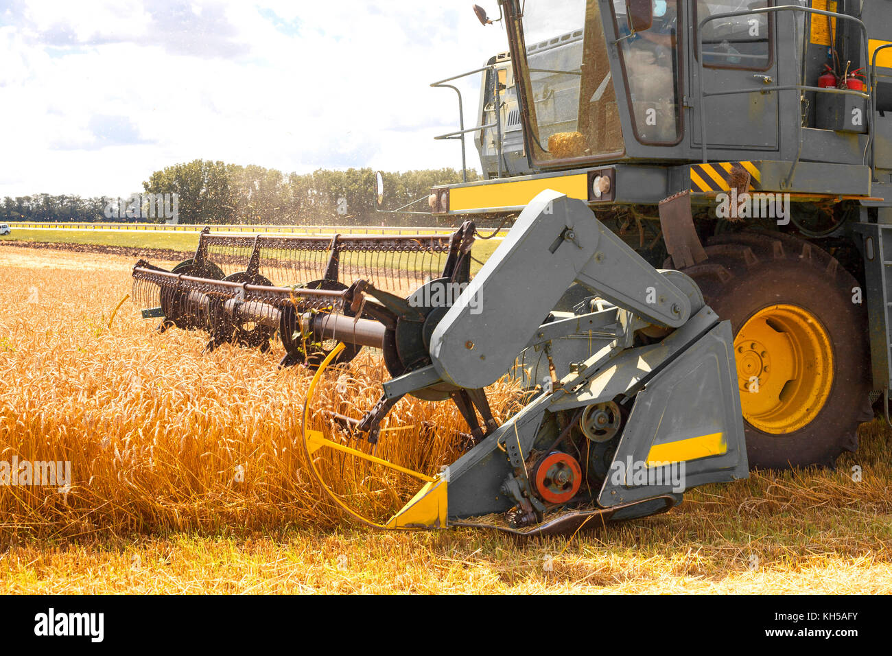 combine harvester working on a wheat field Stock Photo - Alamy