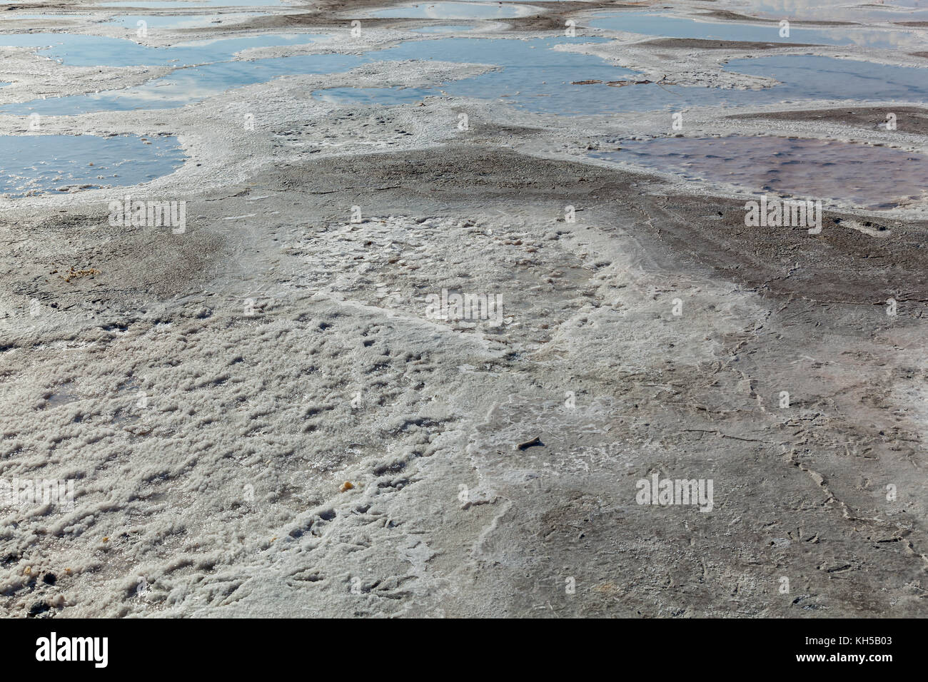 salt crystals on dried clay Stock Photo - Alamy