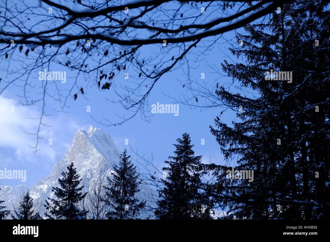 Mountain top peaking out of the forest Stock Photo - Alamy