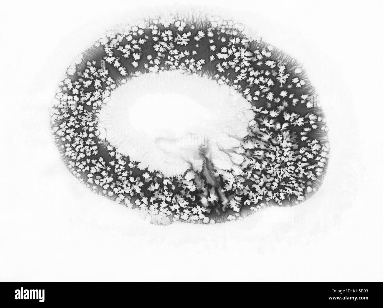 Winter frame Cut Out Stock Images & Pictures - Alamy