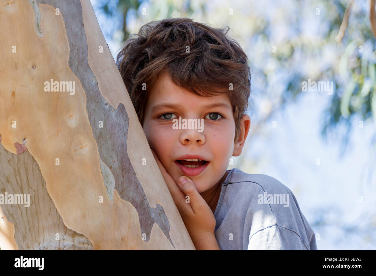 Portrait of a little boy next to a trunk of eucalyptus tree Stock Photo ...
