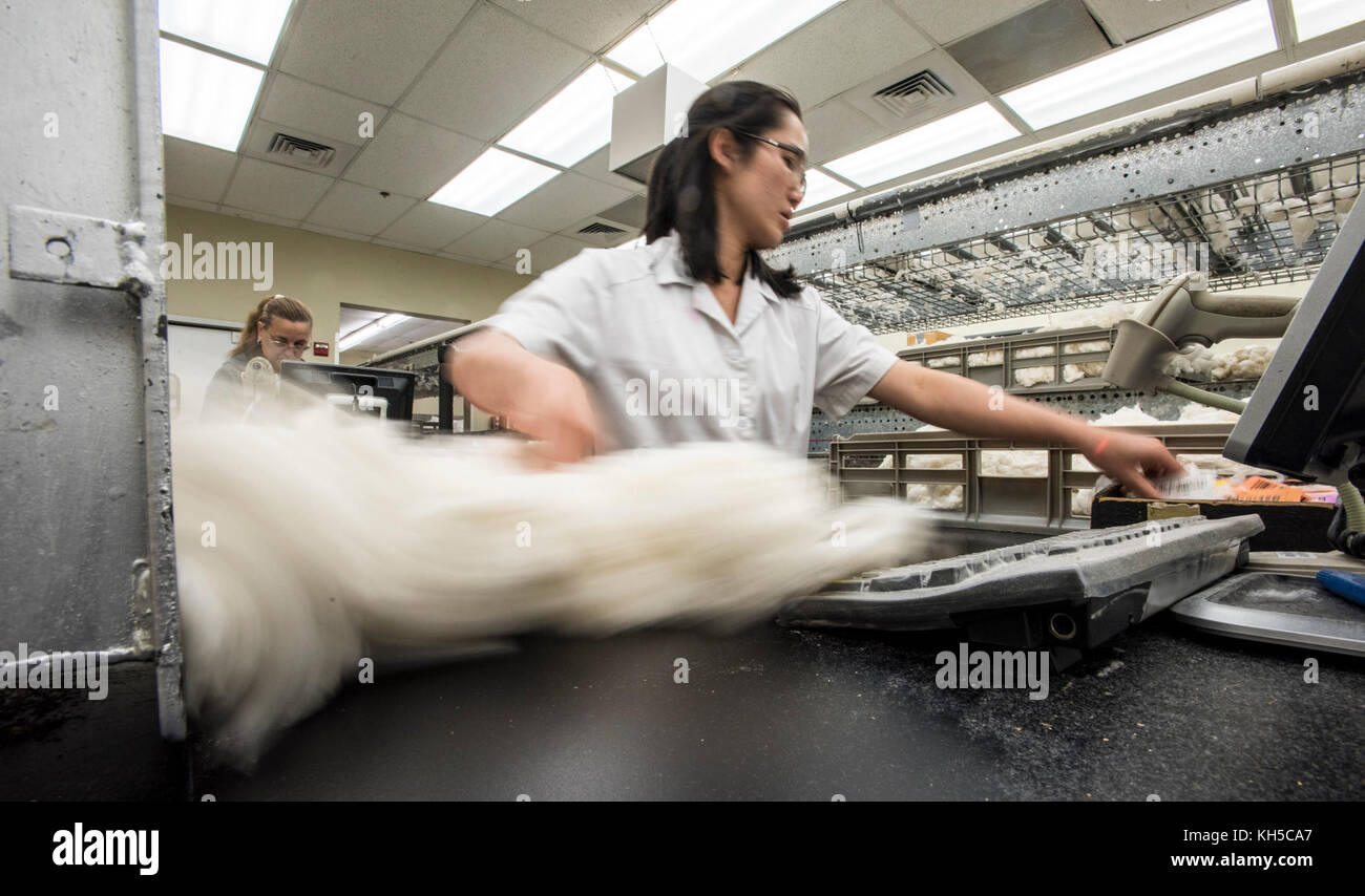 U.S. Department of Agriculture disaster response efforts, and evidence ...