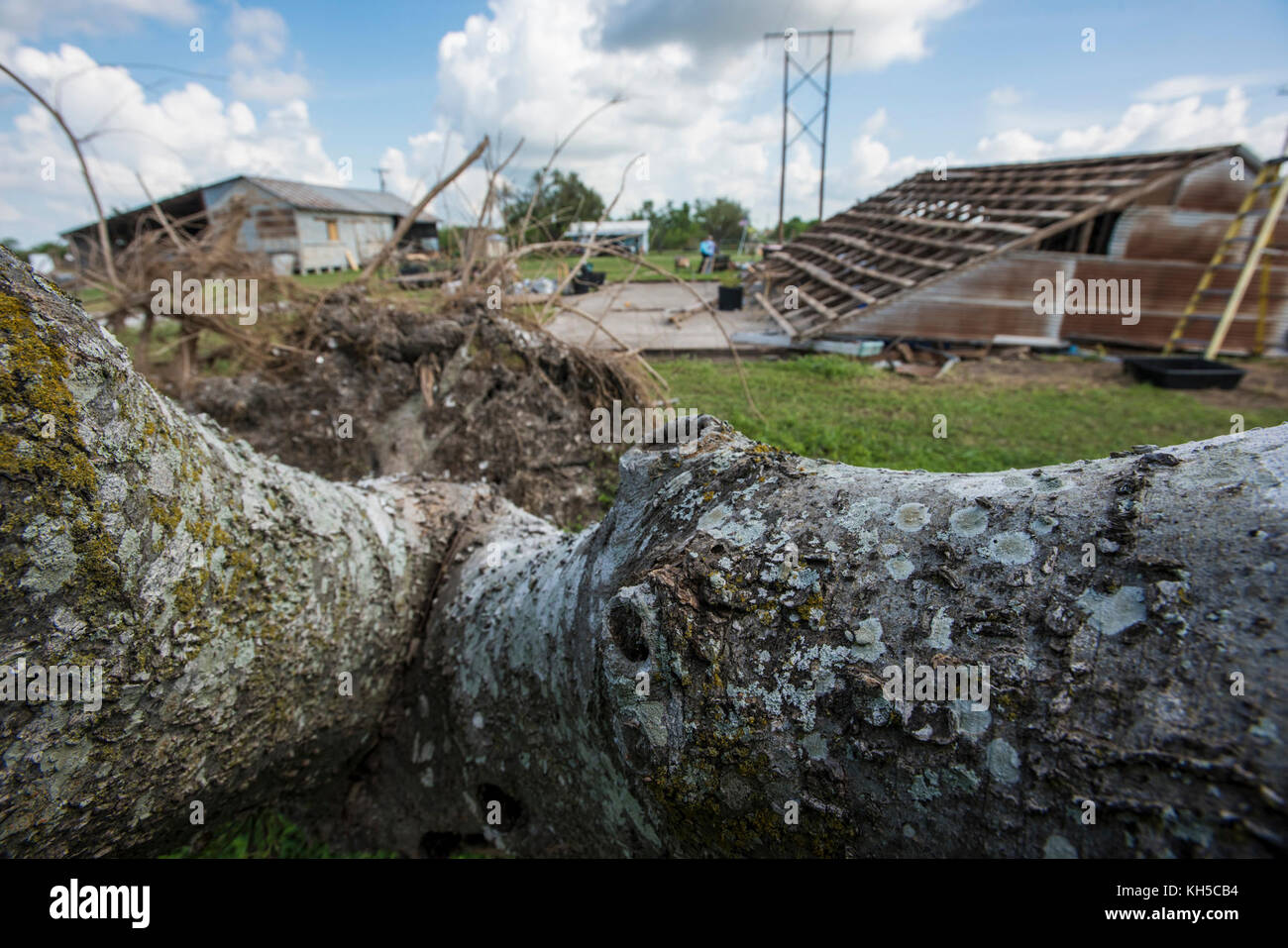 U.S. Department of Agriculture disaster response efforts, and evidence ...