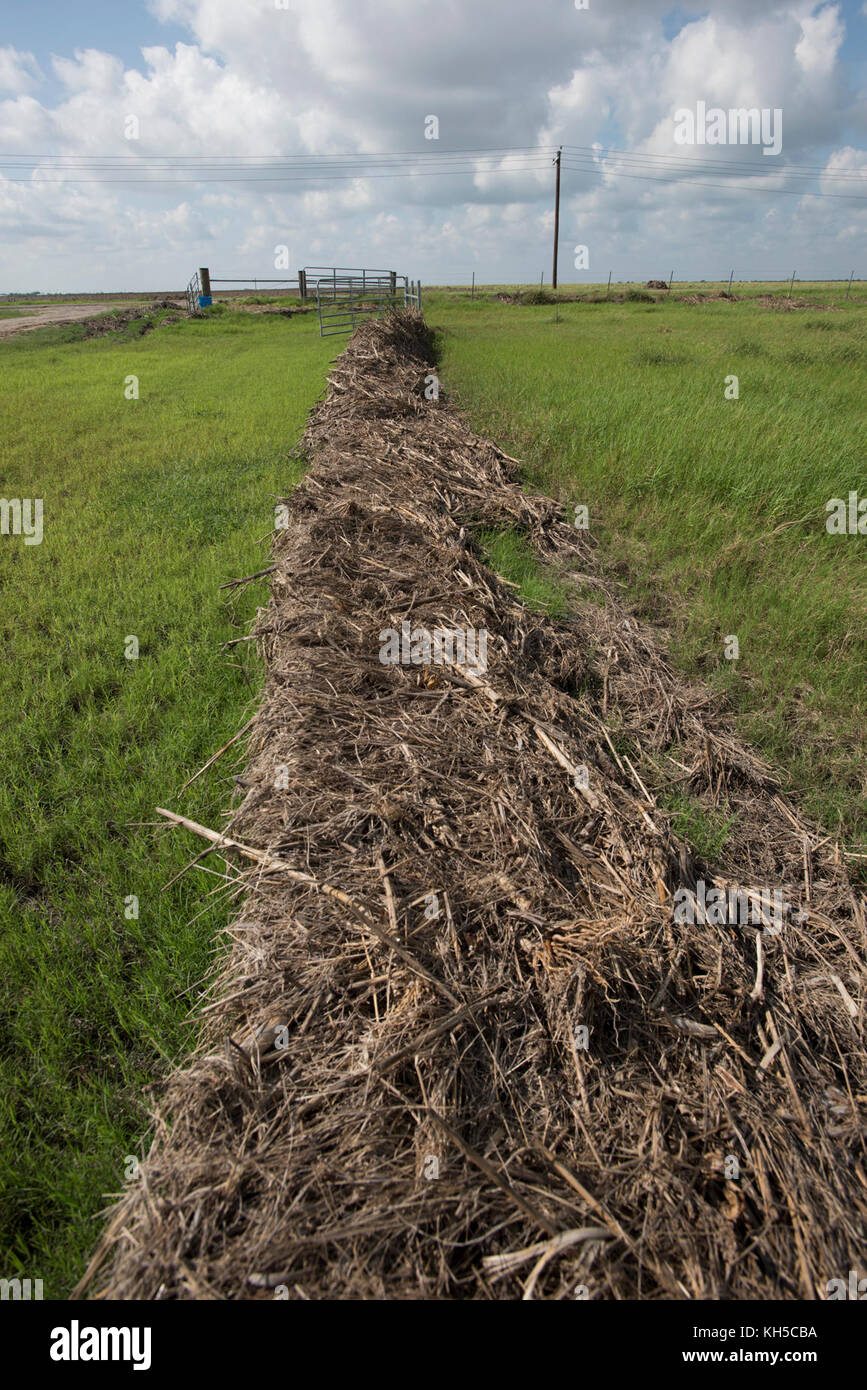 U.S. Department of Agriculture disaster response efforts, and evidence ...