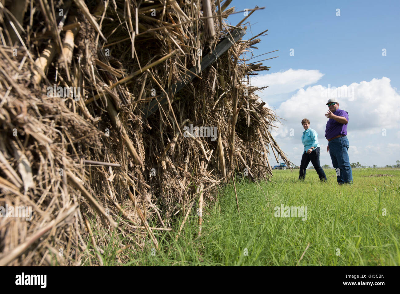 U.S. Department of Agriculture disaster response efforts, and evidence ...