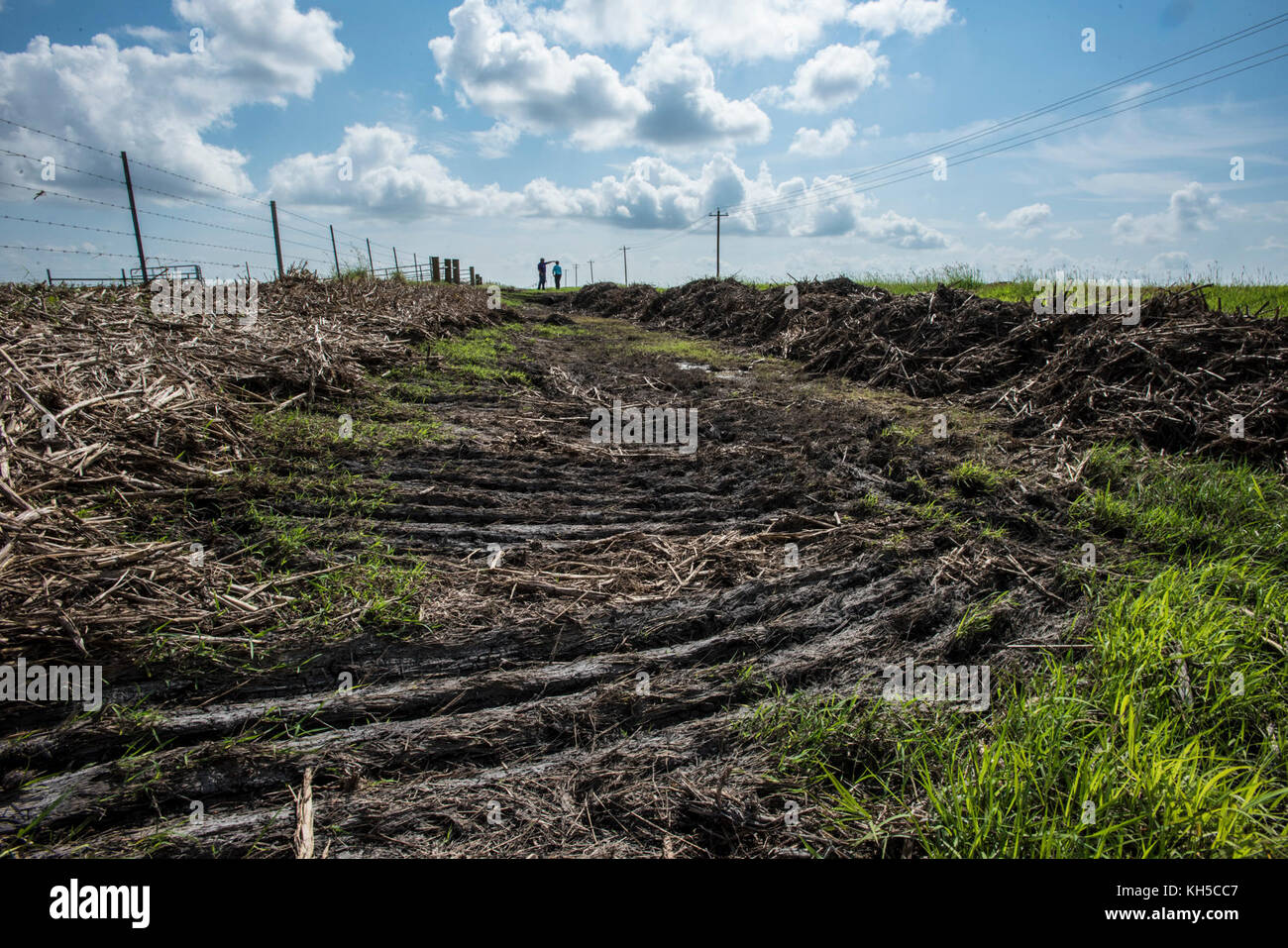 U.S. Department of Agriculture disaster response efforts, and evidence ...