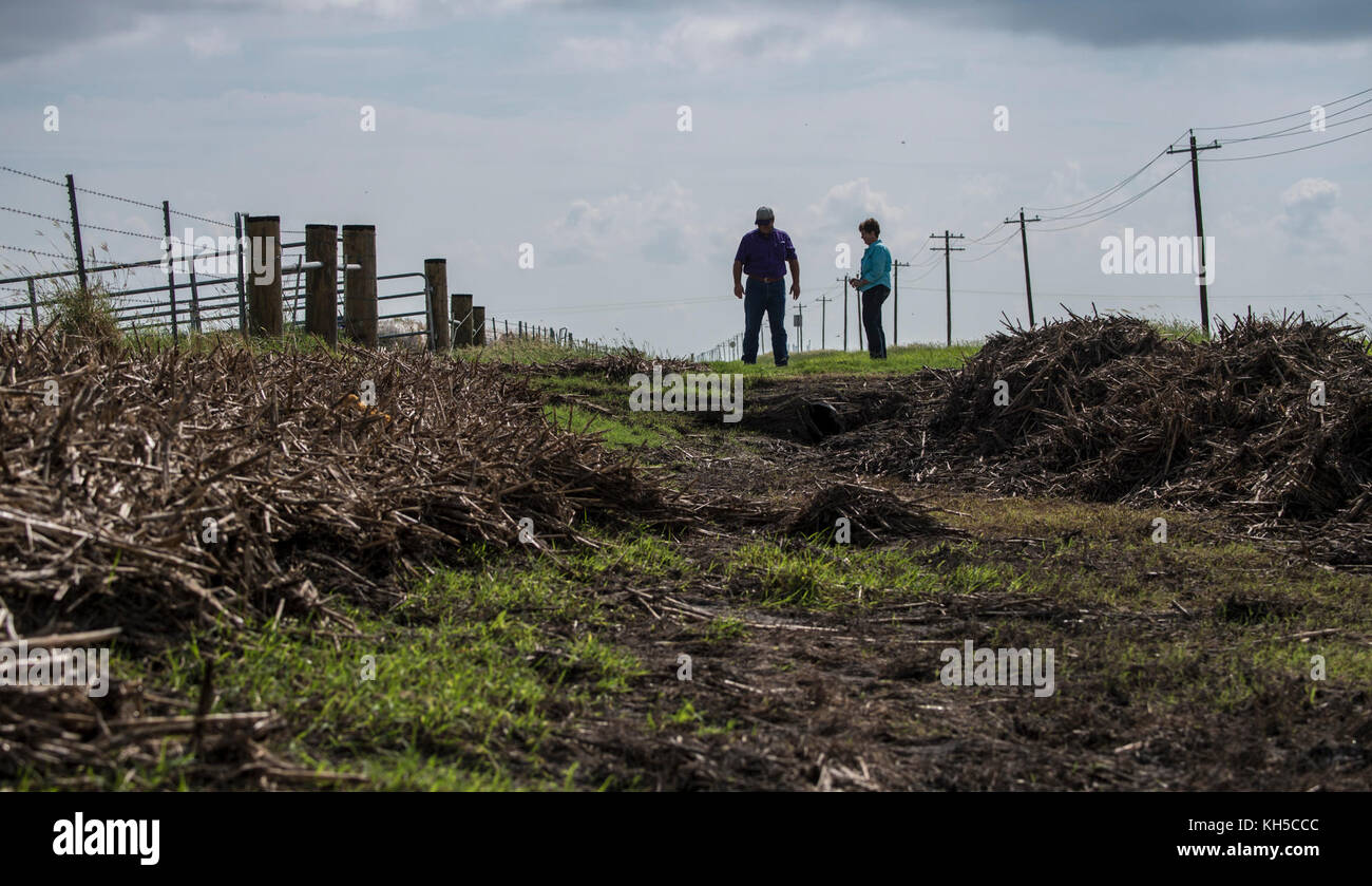 U.S. Department of Agriculture disaster response efforts, and evidence ...