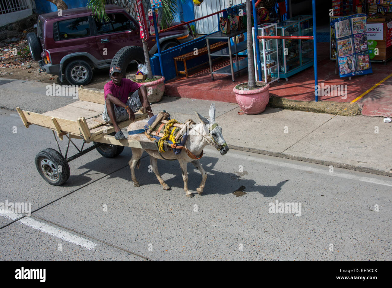 South America, Colombia, Cartagena. Typical mule cart along the streets ...