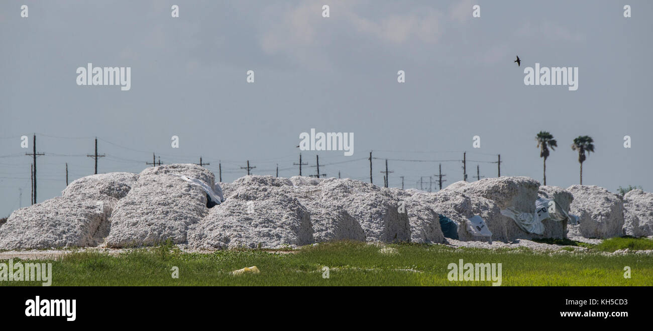 U.S. Department of Agriculture disaster response efforts, and evidence ...