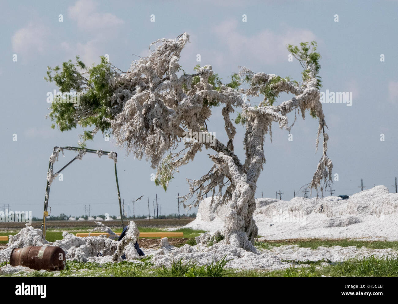 U.S. Department of Agriculture disaster response efforts, and evidence ...