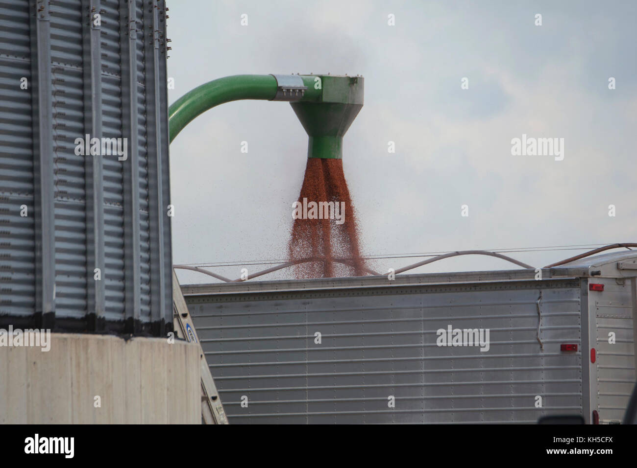 U.S. Department of Agriculture disaster response efforts, and evidence ...