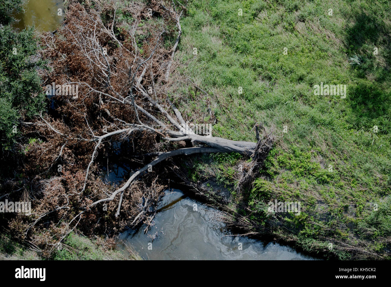 U.S. Department of Agriculture disaster response efforts, and evidence ...