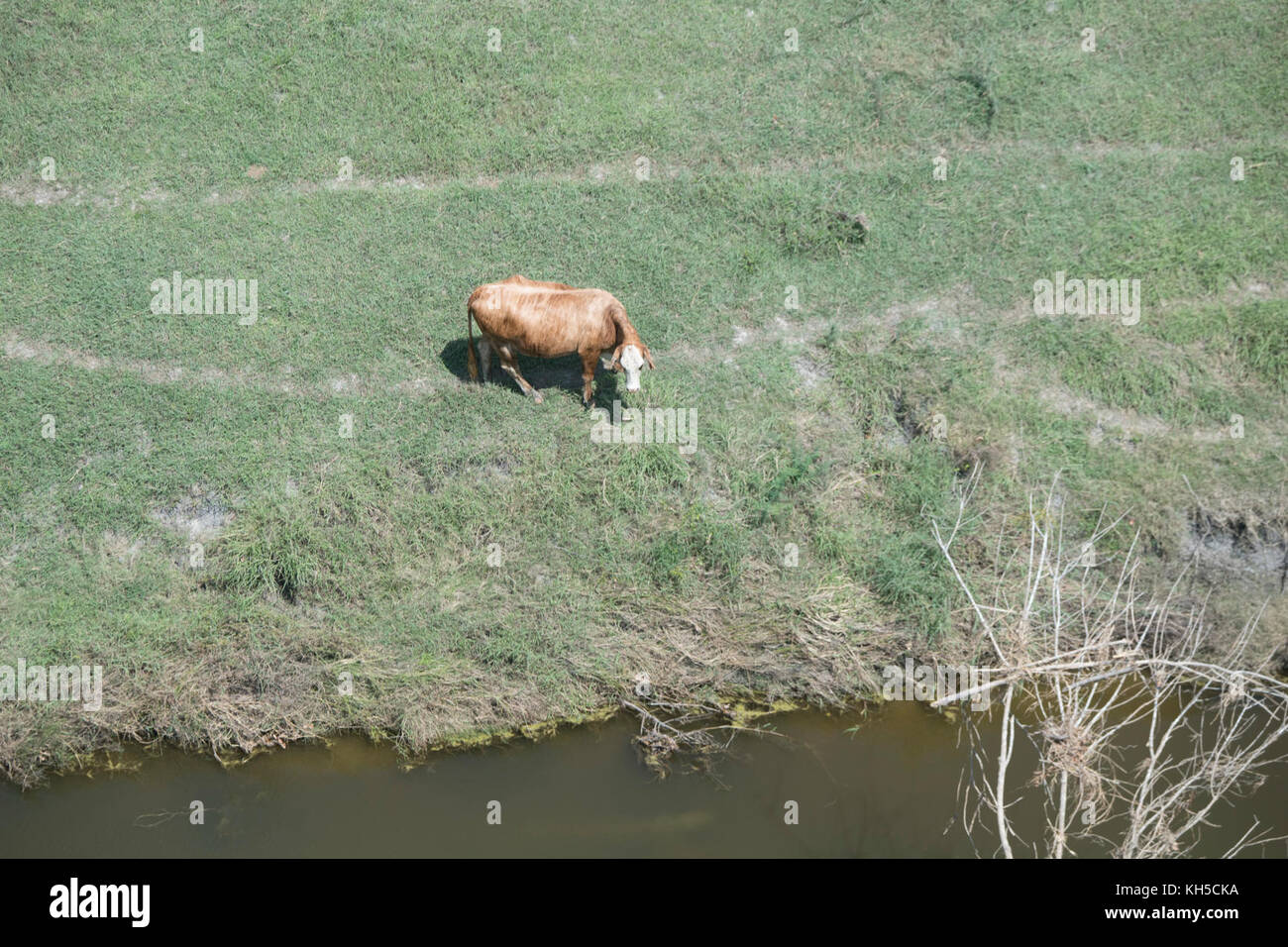 U.S. Department of Agriculture disaster response efforts, and evidence ...