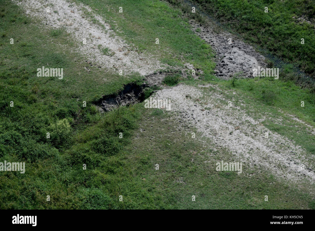 U.S. Department of Agriculture disaster response efforts, and evidence ...